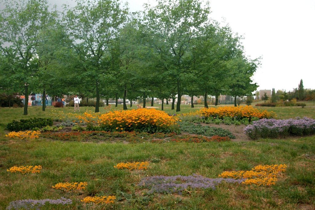 Waldstadt Silberhöhe - Entwurfskonzept Hanoier Straße und Anhalter Platz